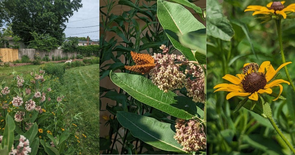 How I Built A DIY Dry Creek Bed & A Backyard Native Wildflower Garden